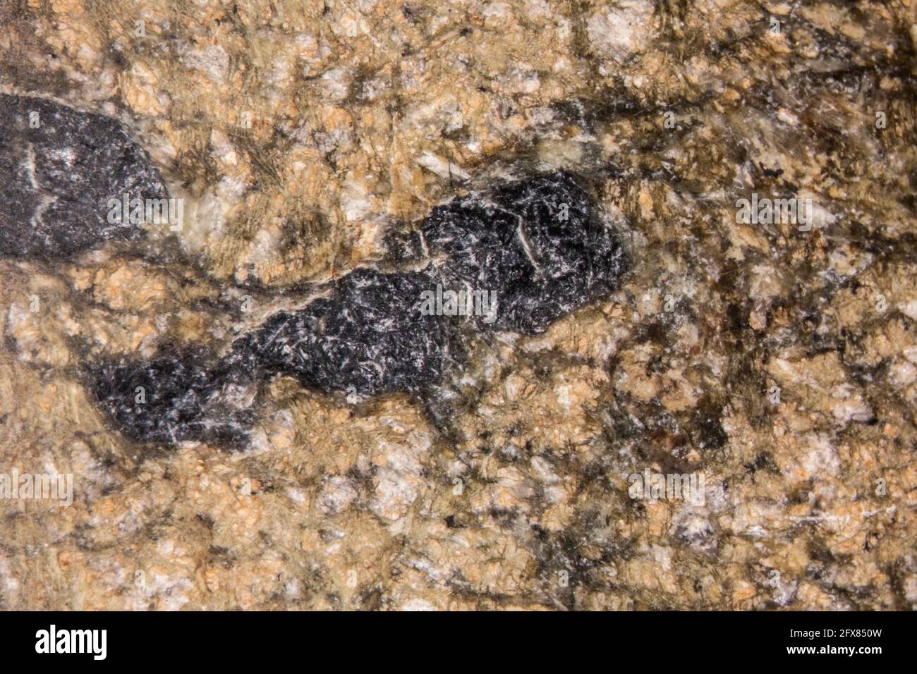 volcanic serpentine rock from the Ore Mountains under a magnifying ...