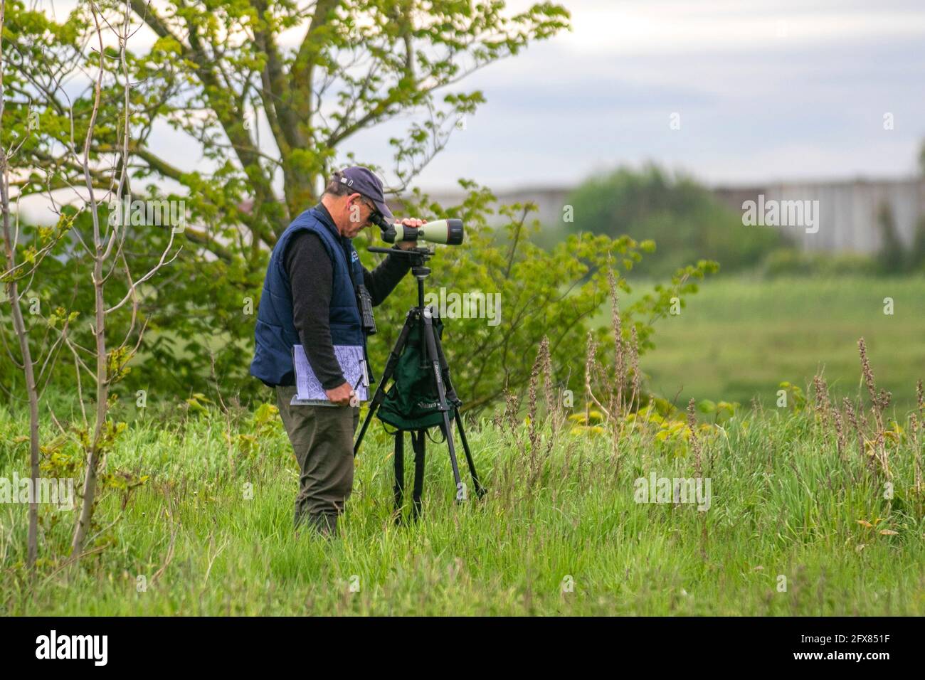 RSPB Wildlife Bird Monitoring Southport, Marshside wetland nature ...