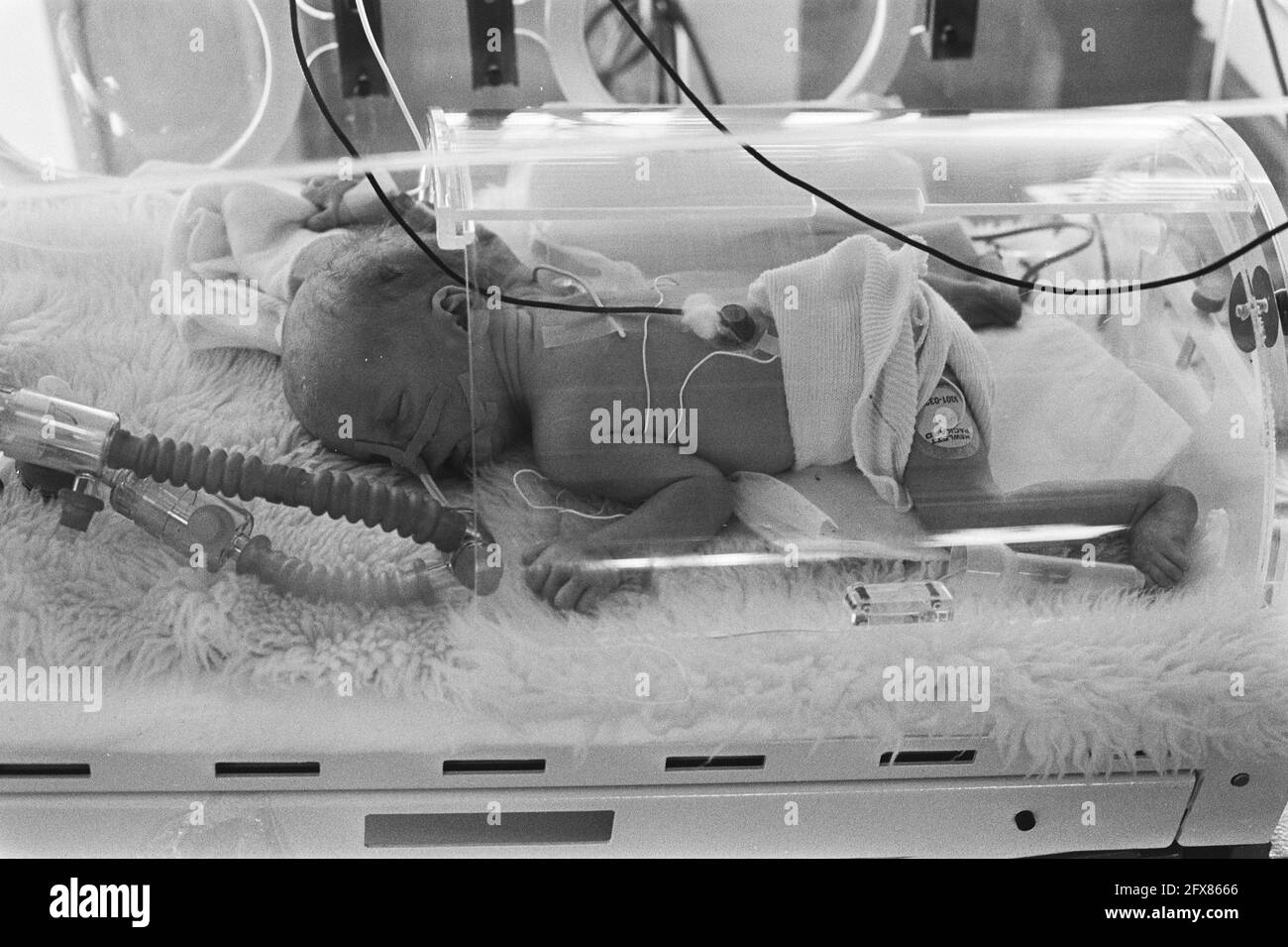 1990 babies hi-res stock photography and images - Alamy