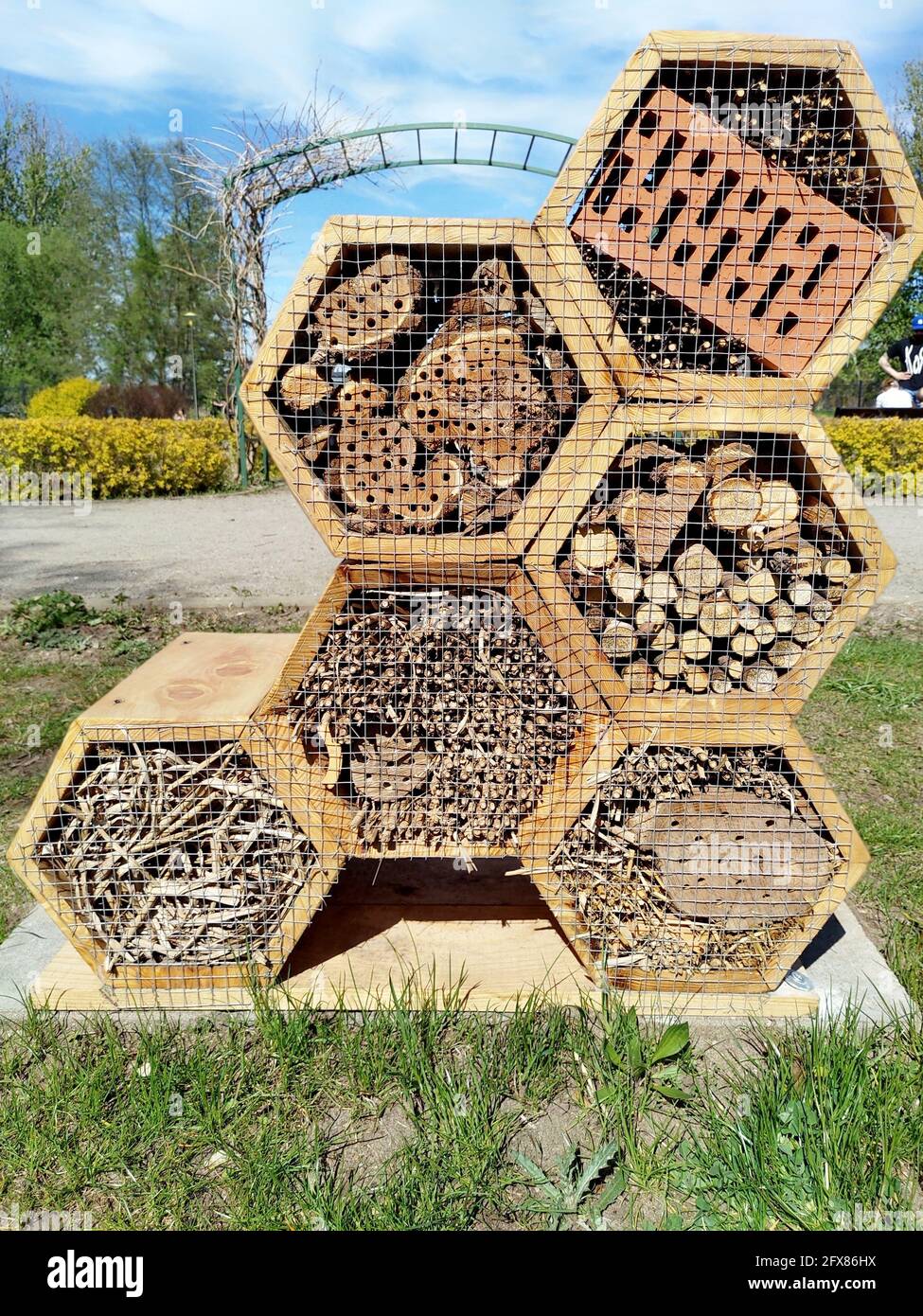 Vertical shot of small wooden bee houses shaped like honeycombs with ...