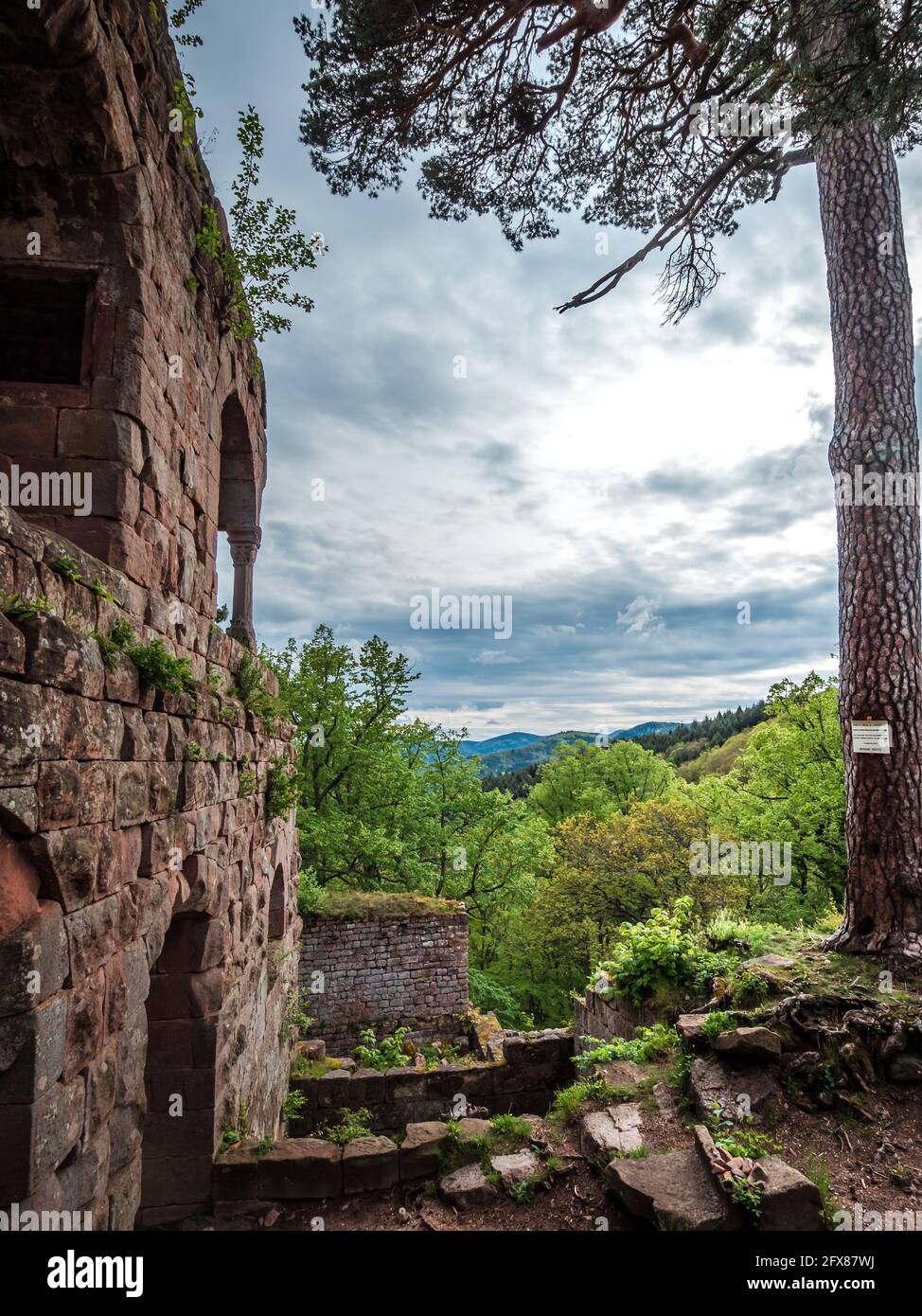 Medieval Castle Landsberg in Vosges, Alsace. Ancient ruins in the ...