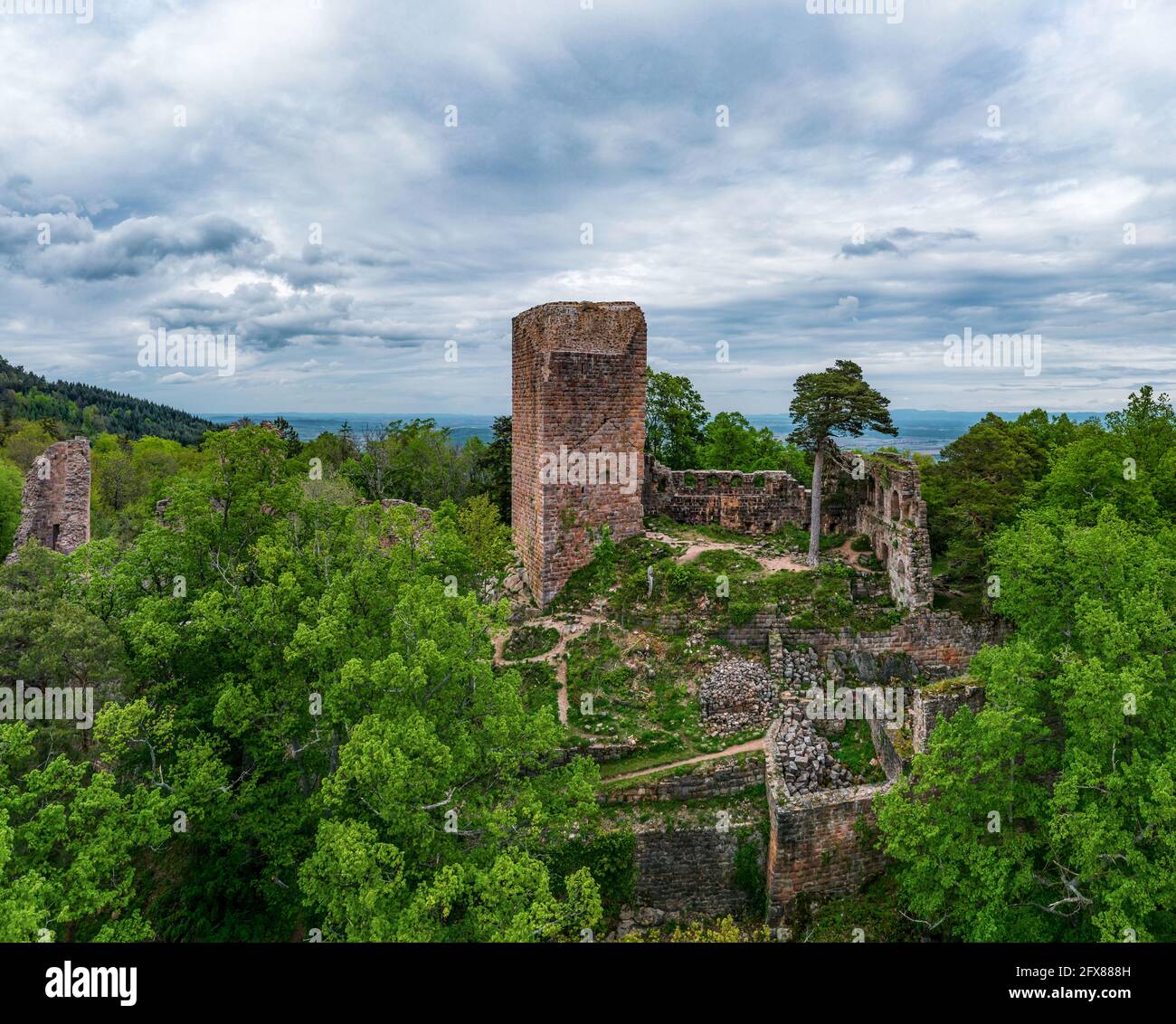 Medieval Castle Landsberg in Vosges, Alsace. Aerial view of the castle ...