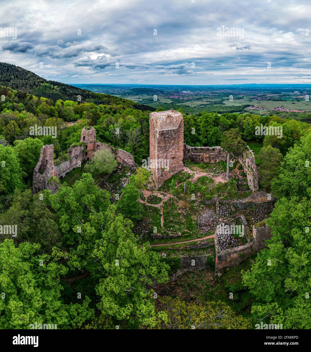 Medieval Castle Landsberg in Vosges, Alsace. Aerial view of the castle ...
