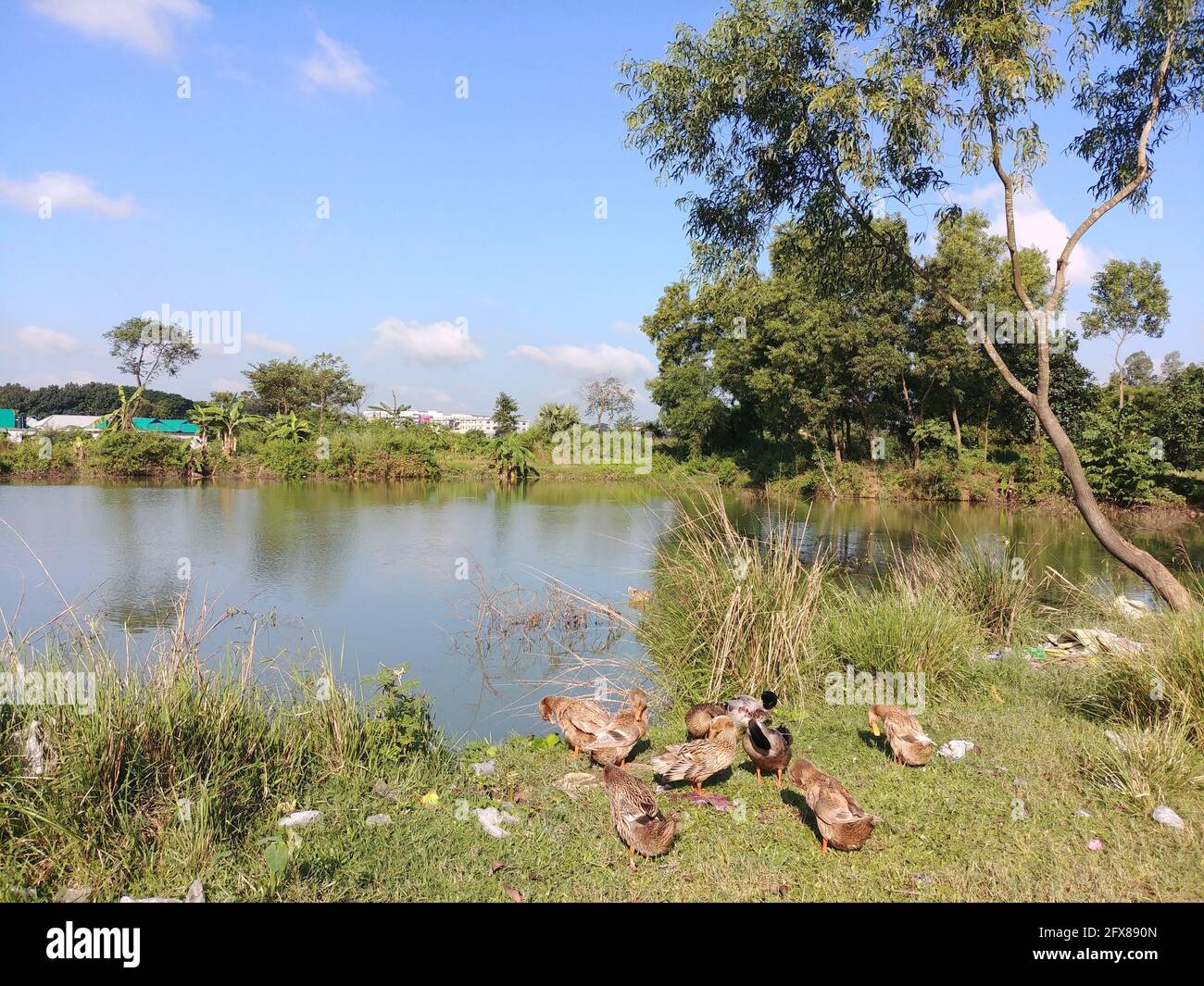 Savana lake hi-res stock photography and images - Alamy