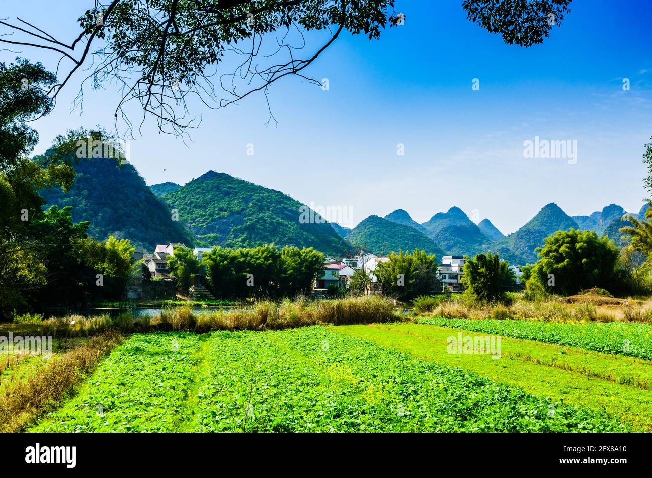 Spring rural countryside hi-res stock photography and images - Alamy
