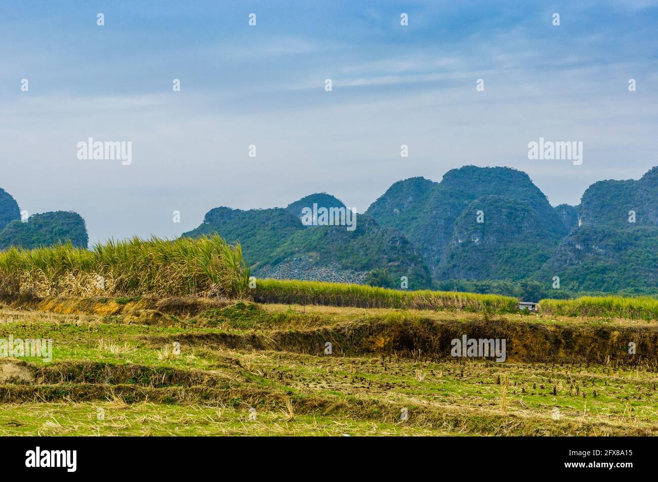 Natural nature scene scenery scenic hi-res stock photography and images ...