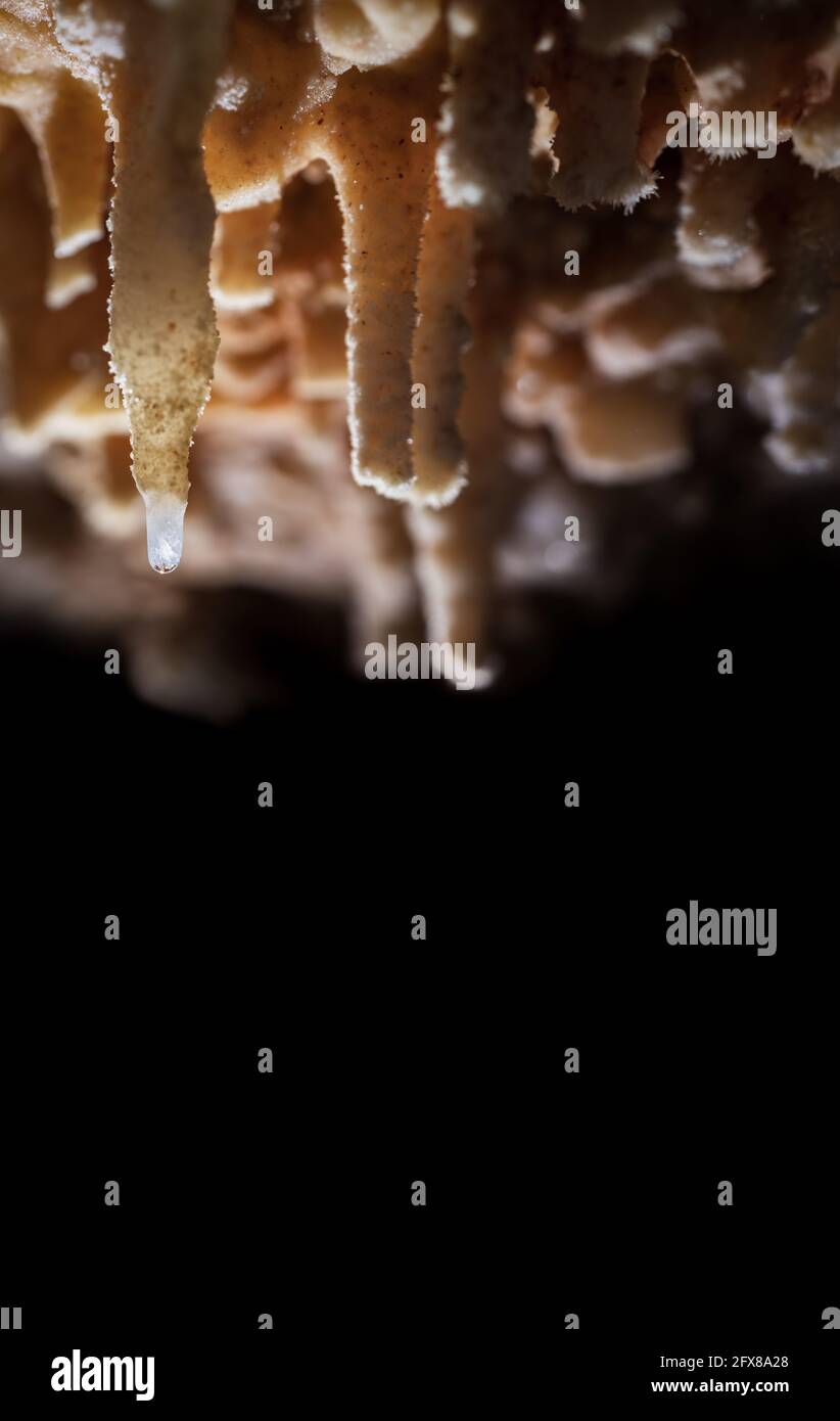 Stalactites formation with water drop in the cave Stock Photo - Alamy