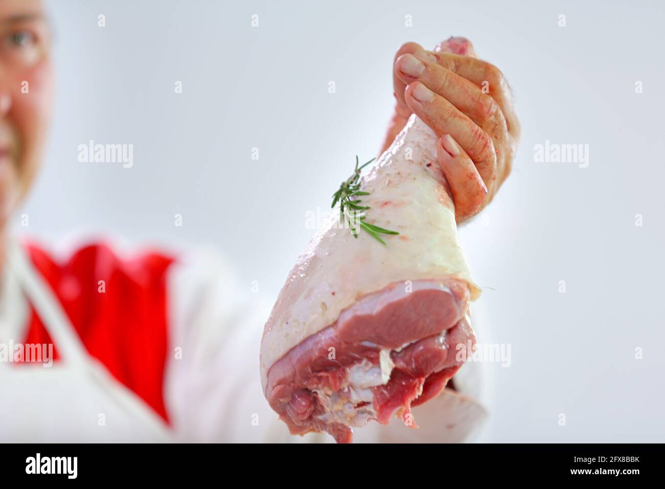 Shallow focus of a butcher holding a piece of freshly cut turkey meat ...