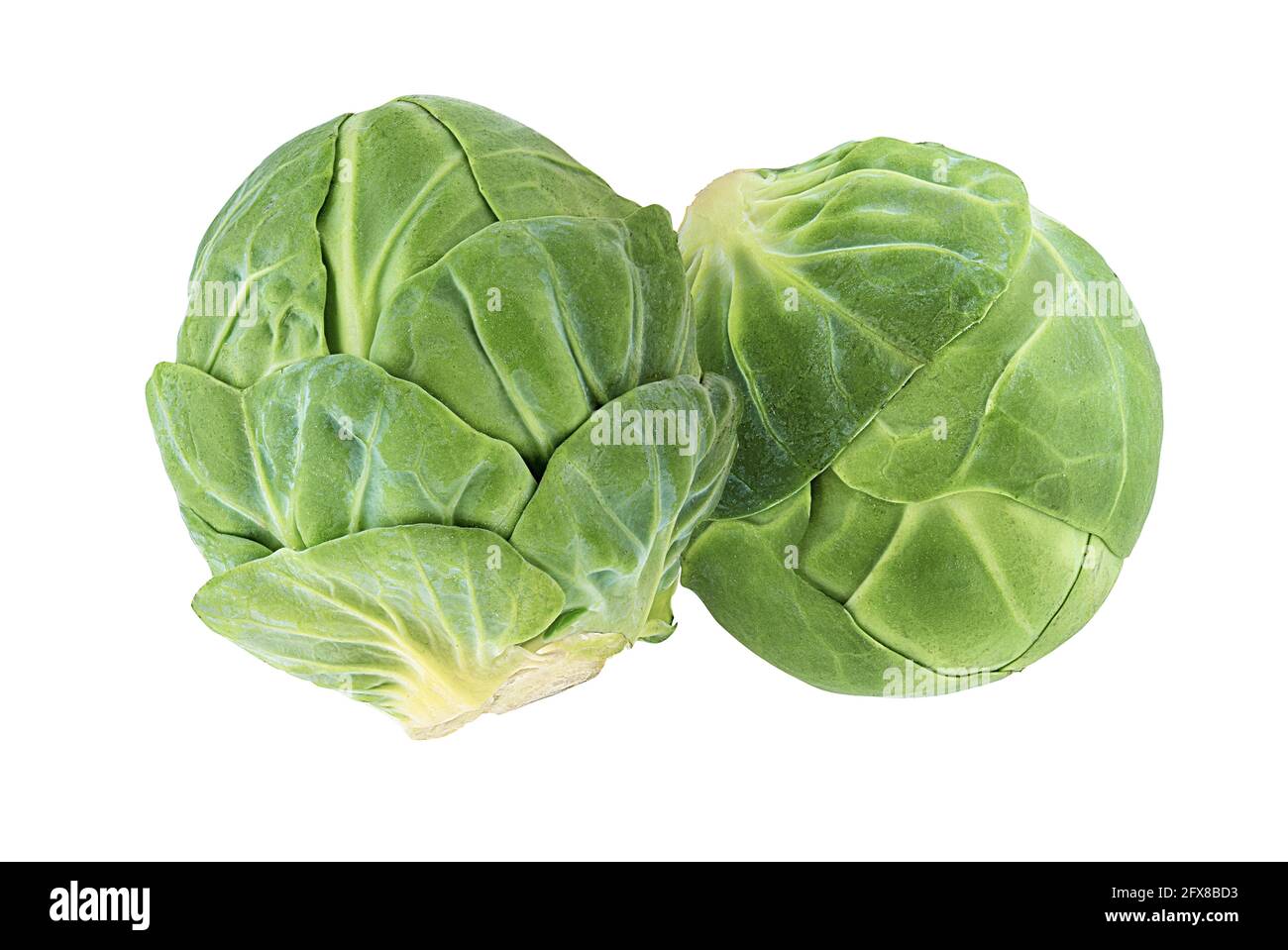 Brussels sprouts isolated on white background Stock Photo - Alamy