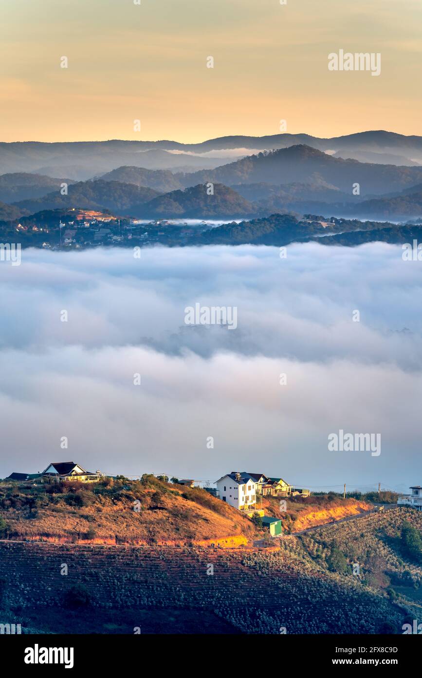 Magical view of Da Lat city, Vietnam. The pine forests are shrouded in ...