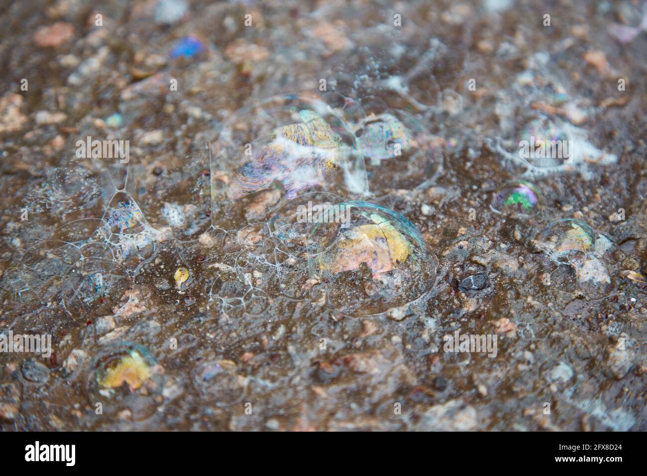 Abstract transparent grey bubbles background. Chemical liquid concept ...