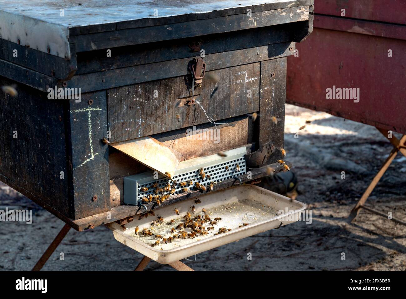 A beehive in a wooden crate. Private enterprise beekeeping. Honey ...