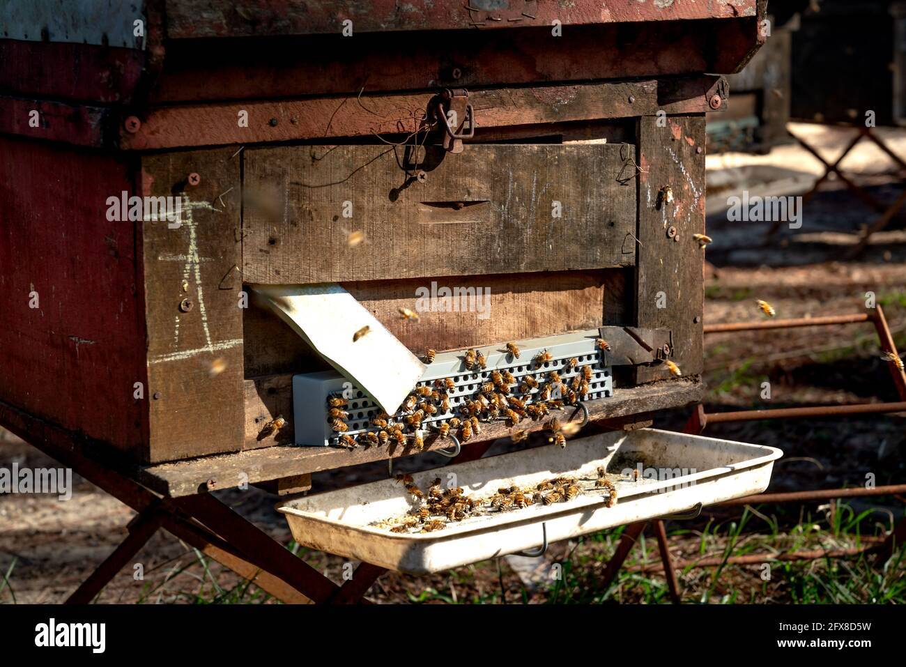 A beehive in a wooden crate. Private enterprise beekeeping. Honey ...
