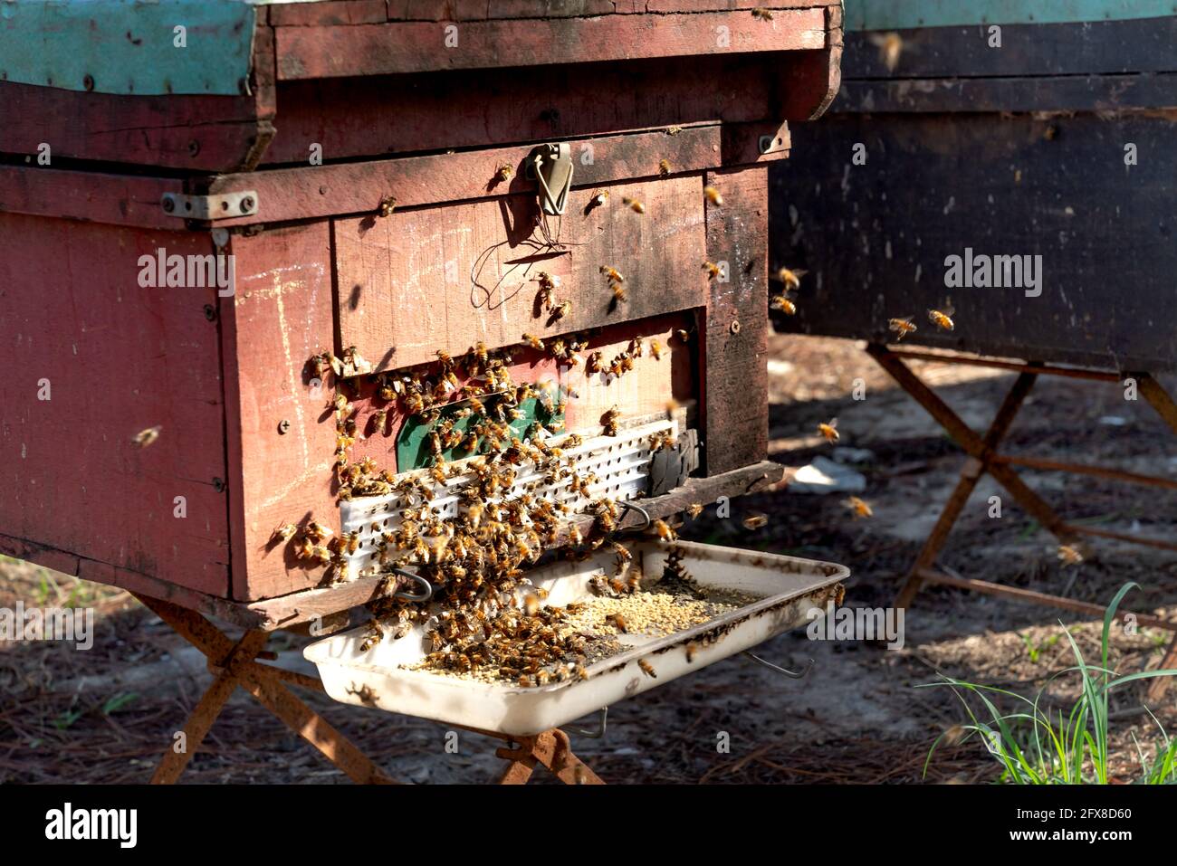 A beehive in a wooden crate. Private enterprise beekeeping. Honey ...