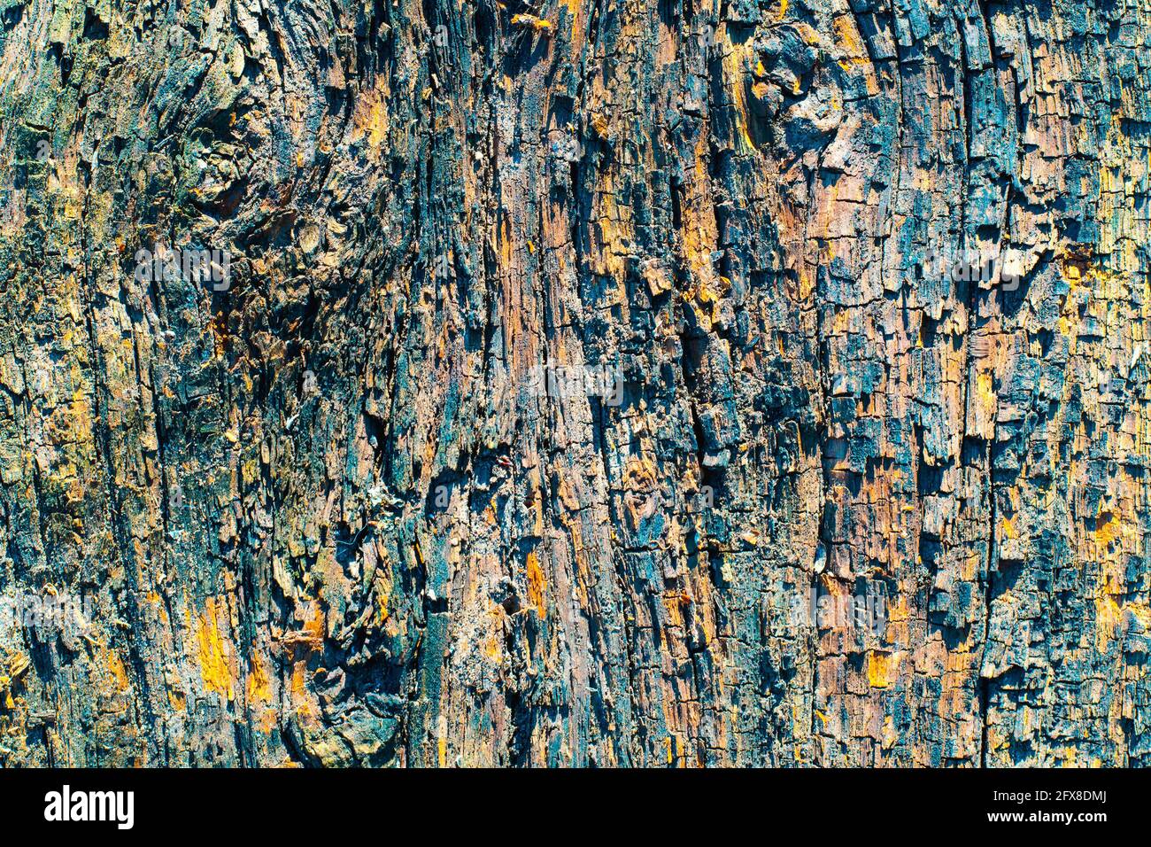 Grungy wood texture, macro. Abstract wallpaper Stock Photo - Alamy
