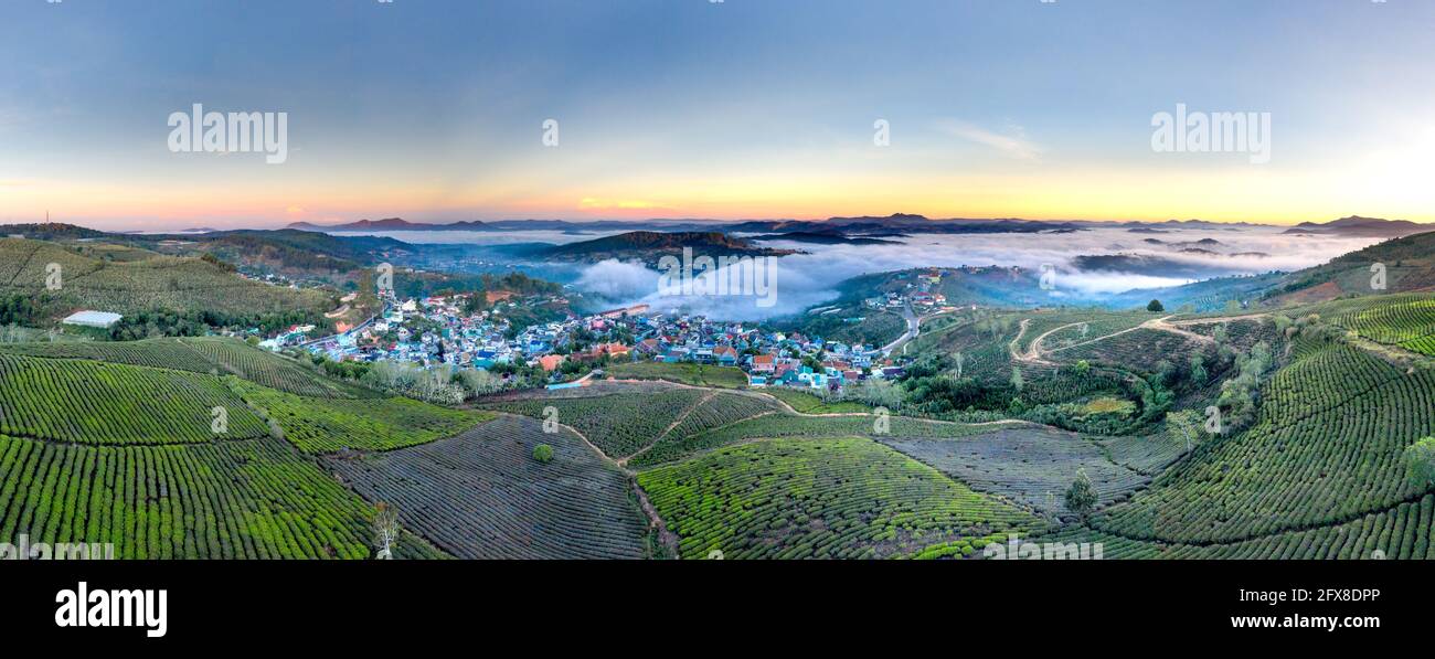 Magical view of Da Lat city, Vietnam. The pine forests are shrouded in ...
