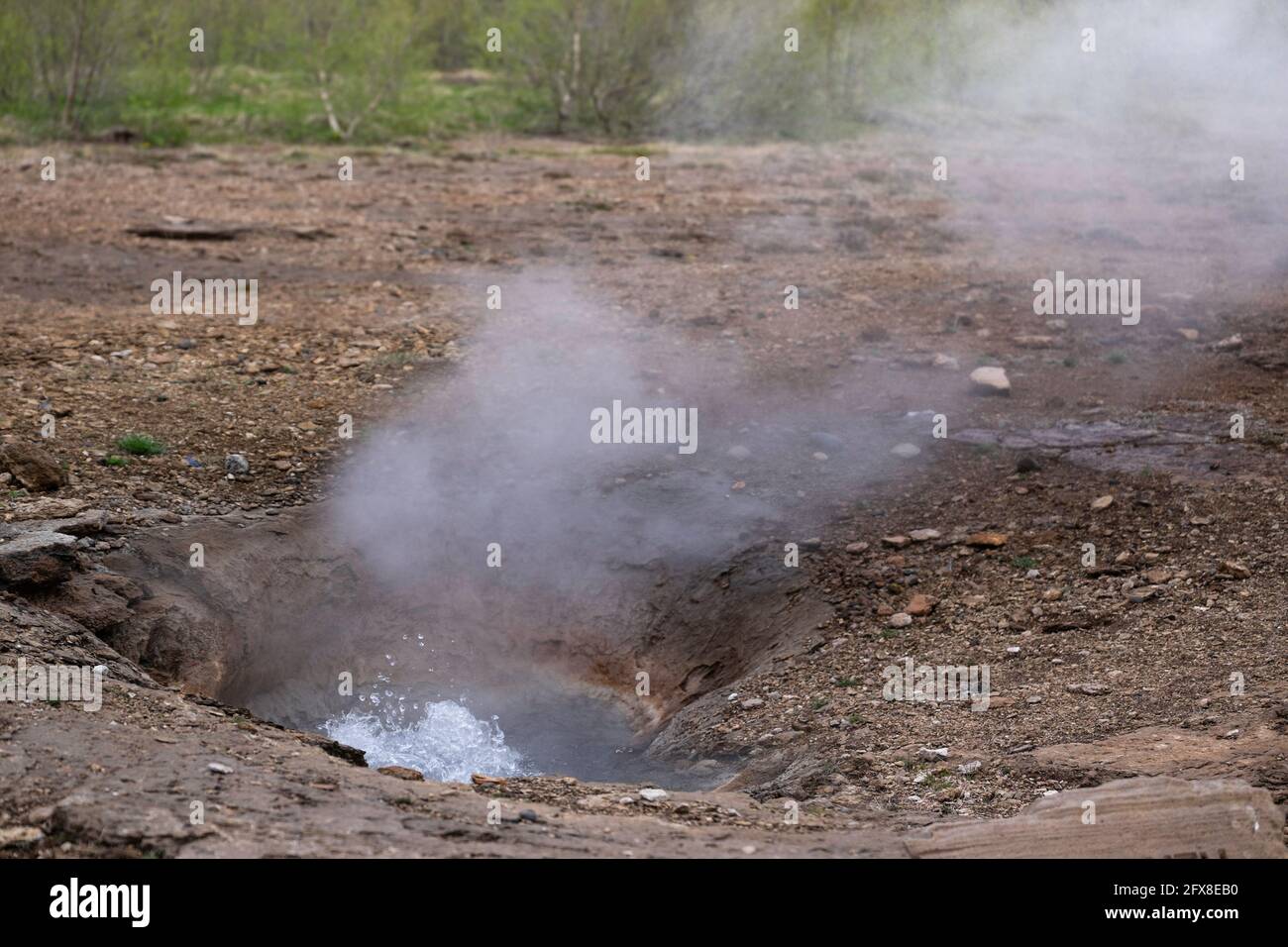 Geyser in Iceland is still bubbling after an eruption in a volcanic ...