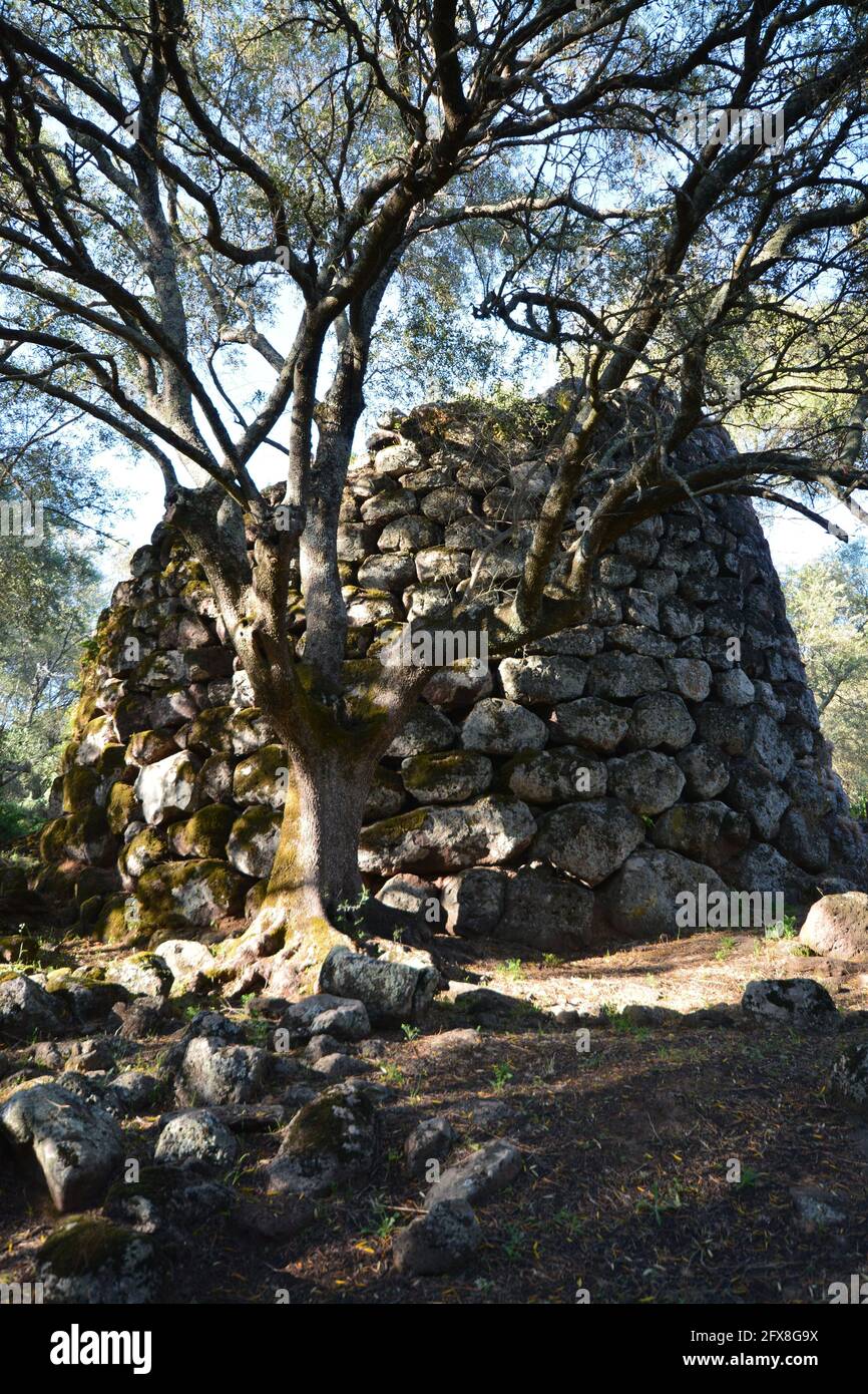 Pozzo sacro Santa Caterina, Paulilatino, Sardegna, Italia Stock Photo ...