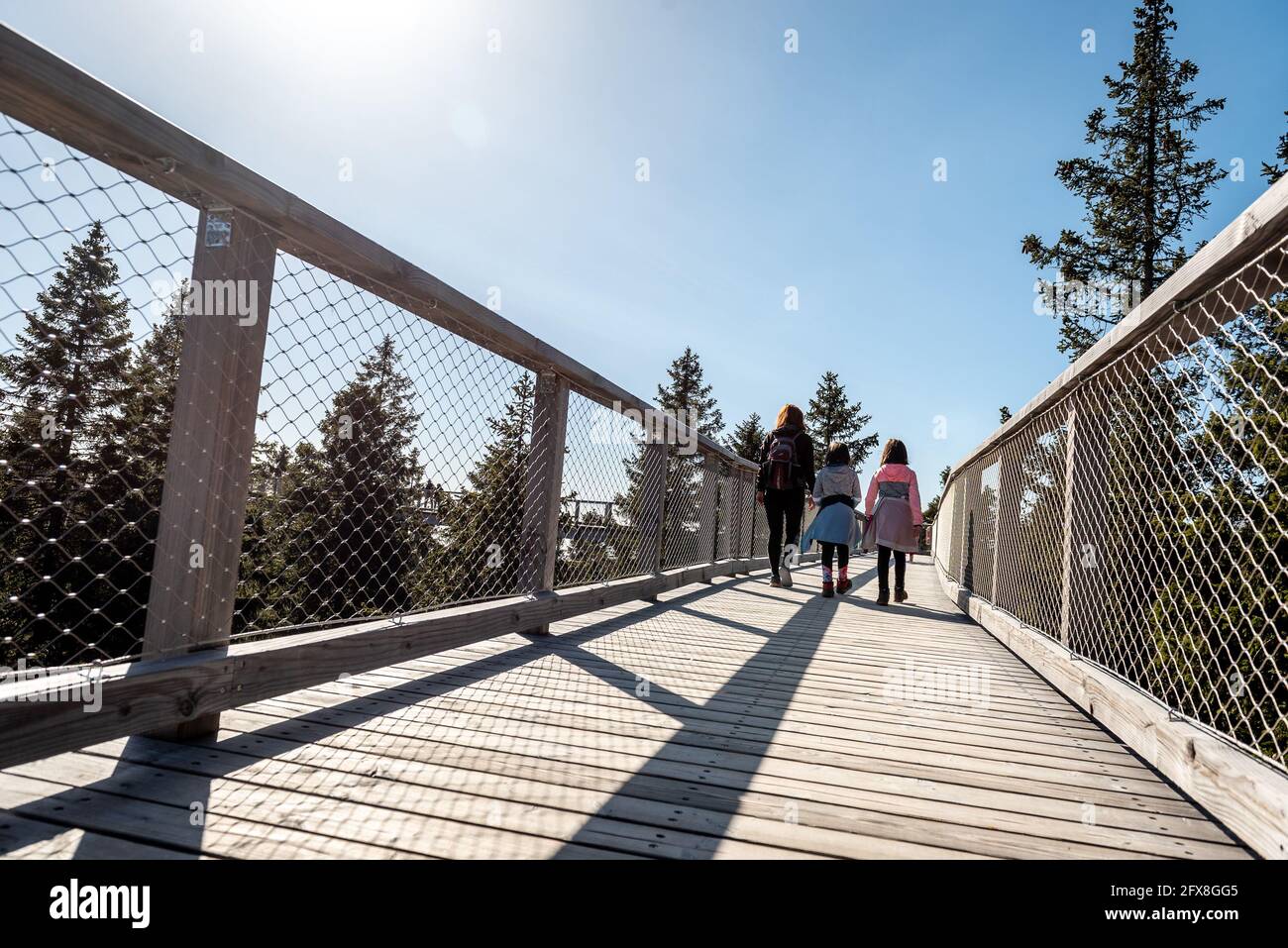 Family people walking wooden treetop bridge canopy walkway in winter ...