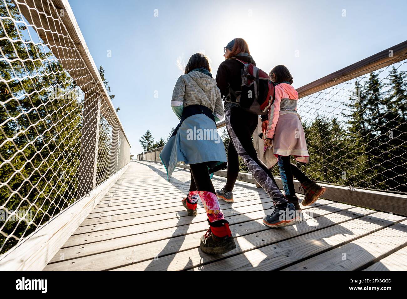 Family people walking wooden treetop bridge canopy walkway in winter ...