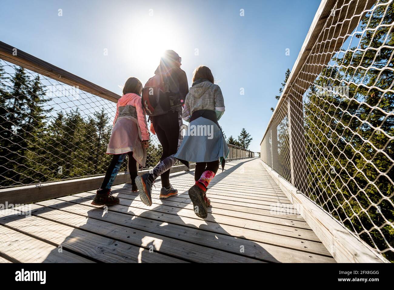 Family people walking wooden treetop bridge canopy walkway in winter ...