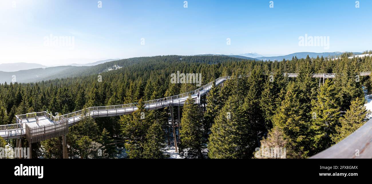 View of wooden bridge treetop Pohorje observation deck in winter ...