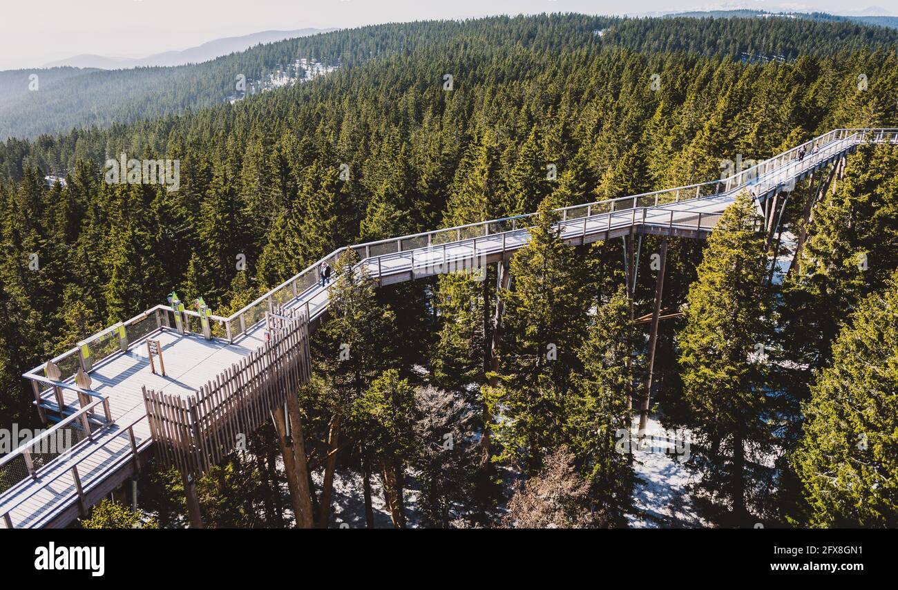 View of wooden bridge treetop Pohorje observation deck in winter ...