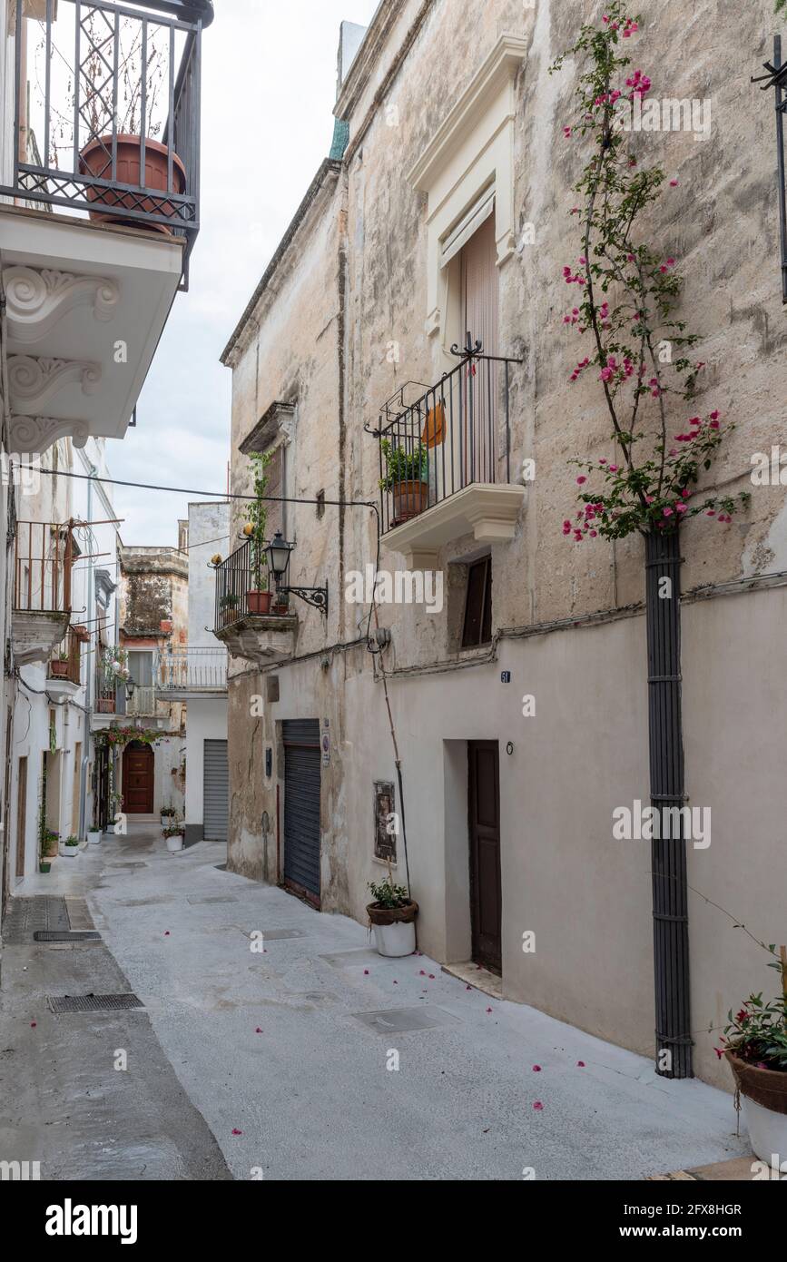 Taranto grottaglie hi-res stock photography and images - Alamy