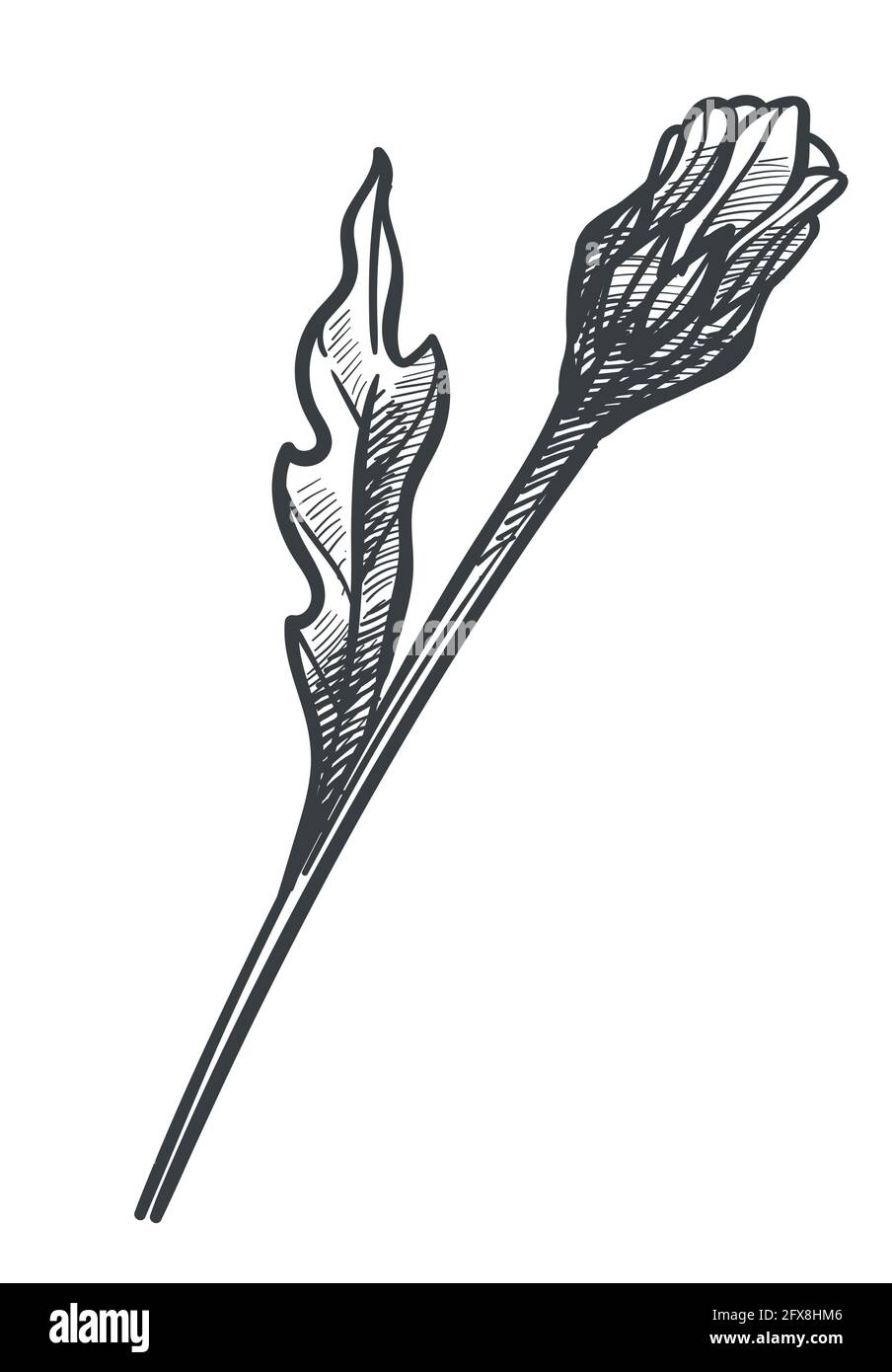 Plant revival Stock Vector Images - Alamy