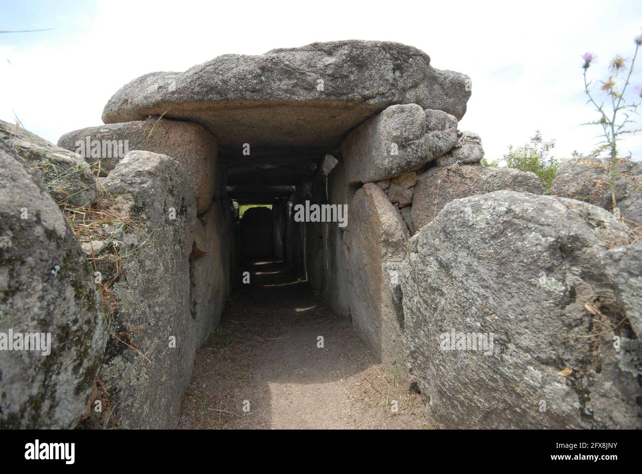 Sardegna, tomba dei giganti Dorgali Stock Photo - Alamy