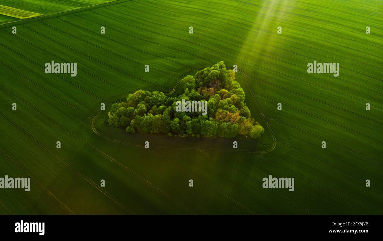 Aerial view of a heart-shaped green landscape Stock Photo - Alamy