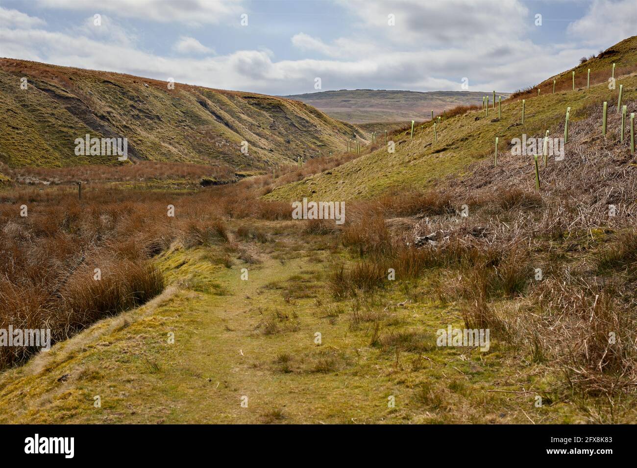 Views from the head of Angram Reservoir Stock Photo - Alamy