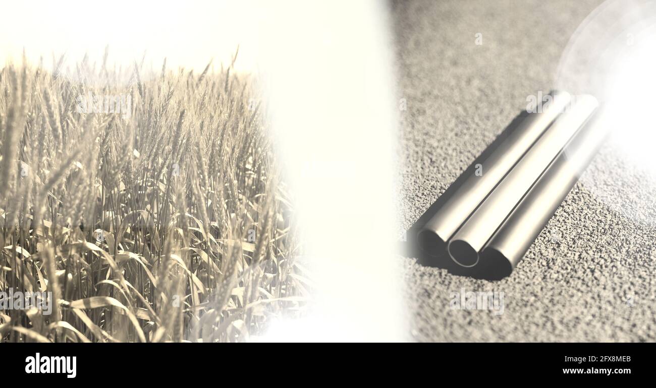 Composition of wheatfield with overexposure and metal pipes on road in ...