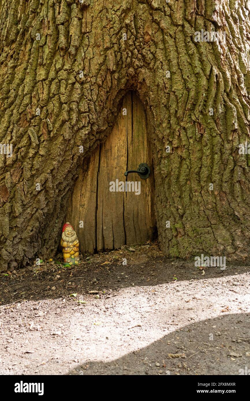 Enchanting small wooden door in a tree trunk for dwarves Stock Photo ...