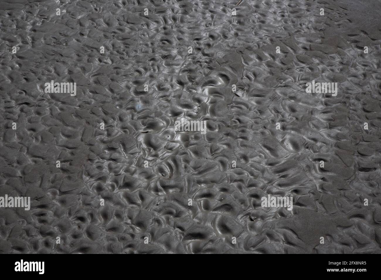 Wavelets formed on the sand and silty-clay shore. Pattern. Brown and ...