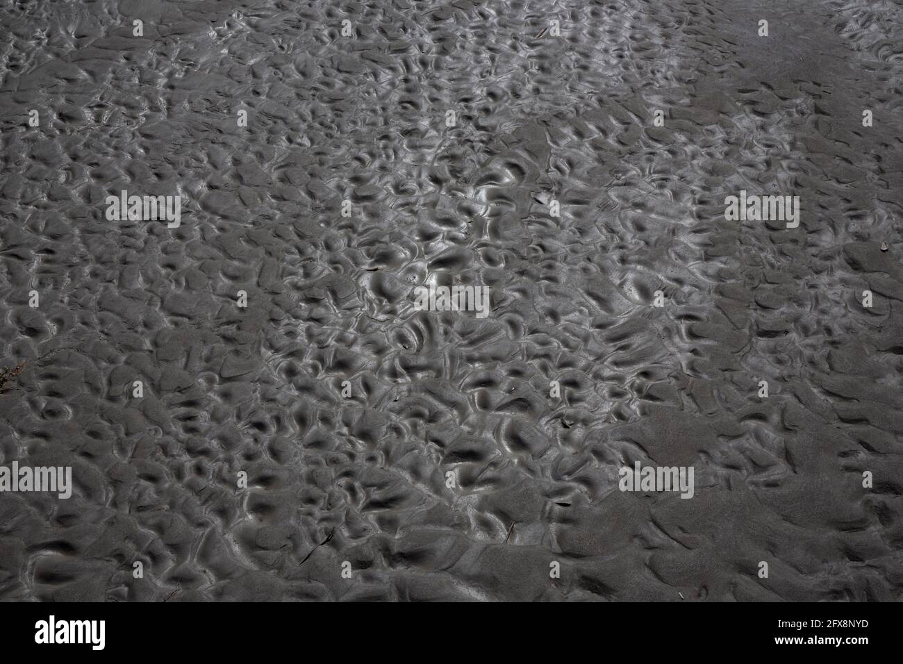 Silty clay hi-res stock photography and images - Alamy
