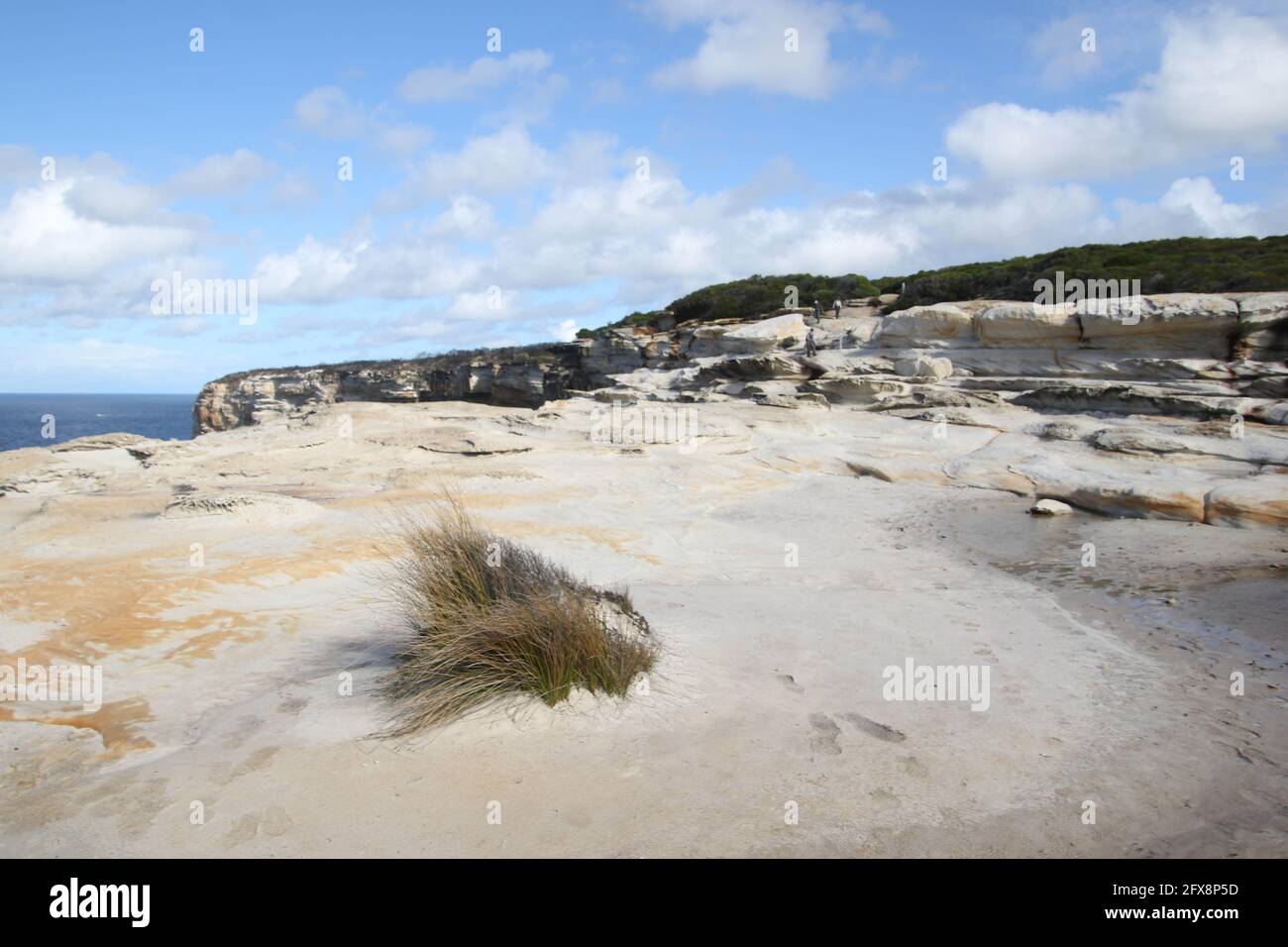 Australia south coast track trek hi-res stock photography and images ...