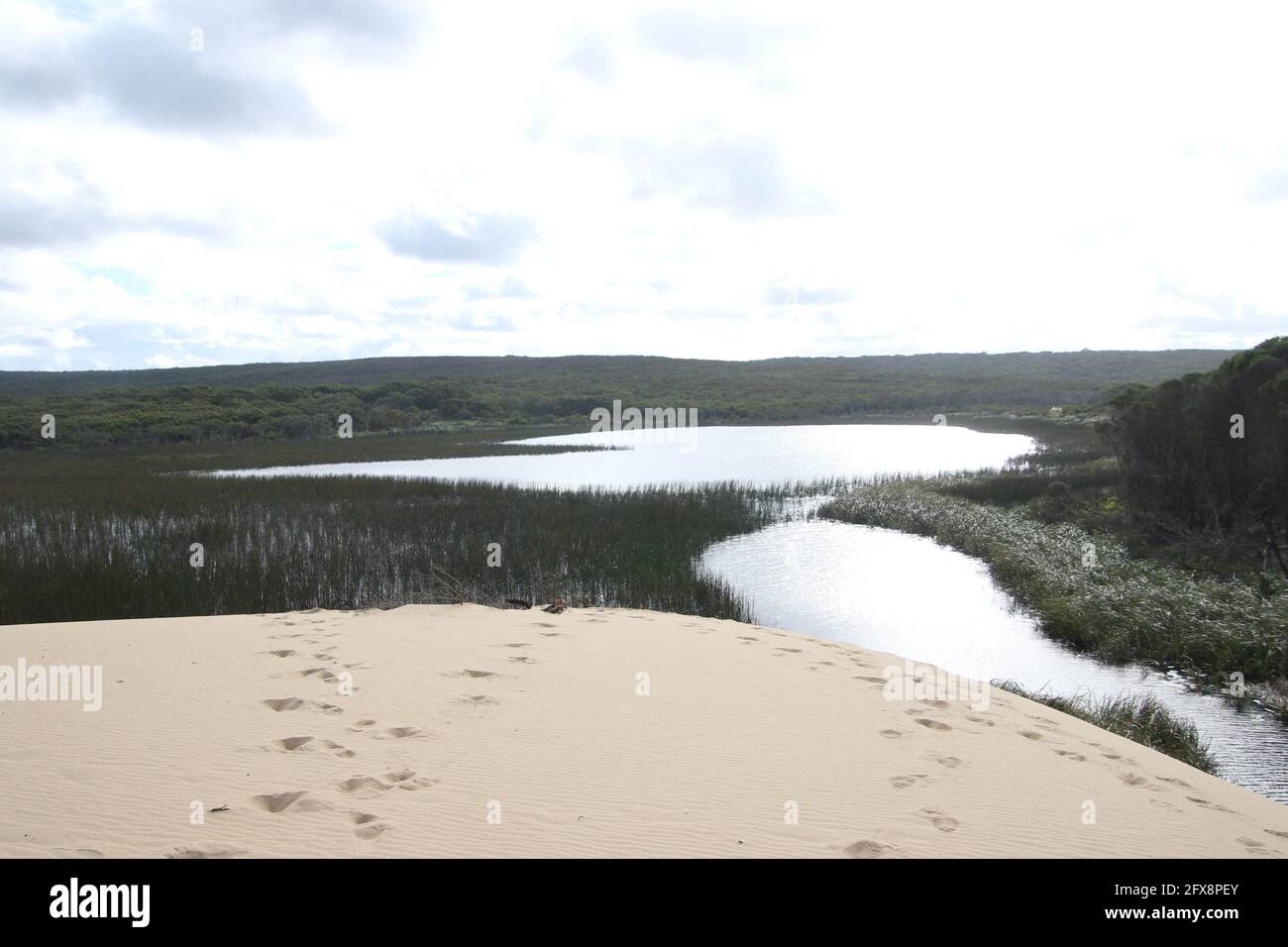 Marley lagoon hi-res stock photography and images - Alamy