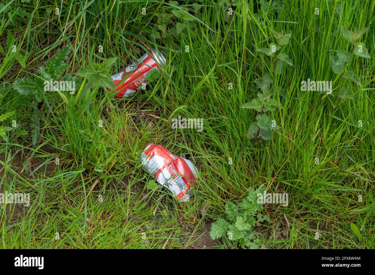 Discarded beer cans hi-res stock photography and images - Alamy