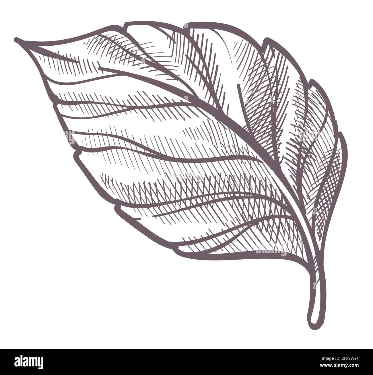 Colorless plant Stock Vector Images - Alamy