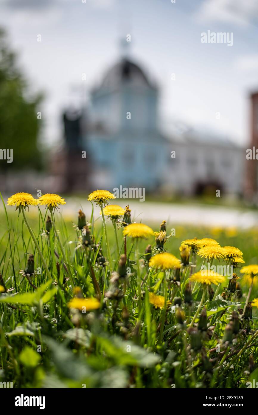 Womens Monastery and monument on Cathedral Square beautiful defocus ...
