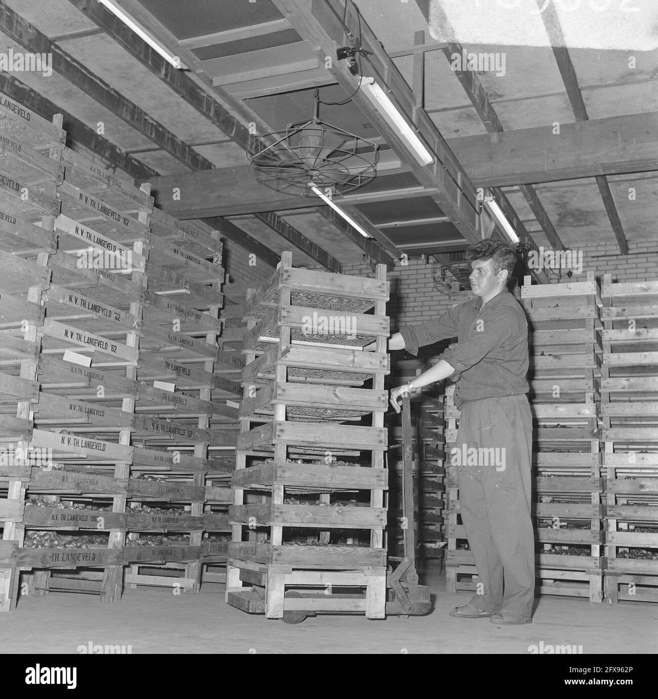 Bulb crates hi-res stock photography and images - Alamy