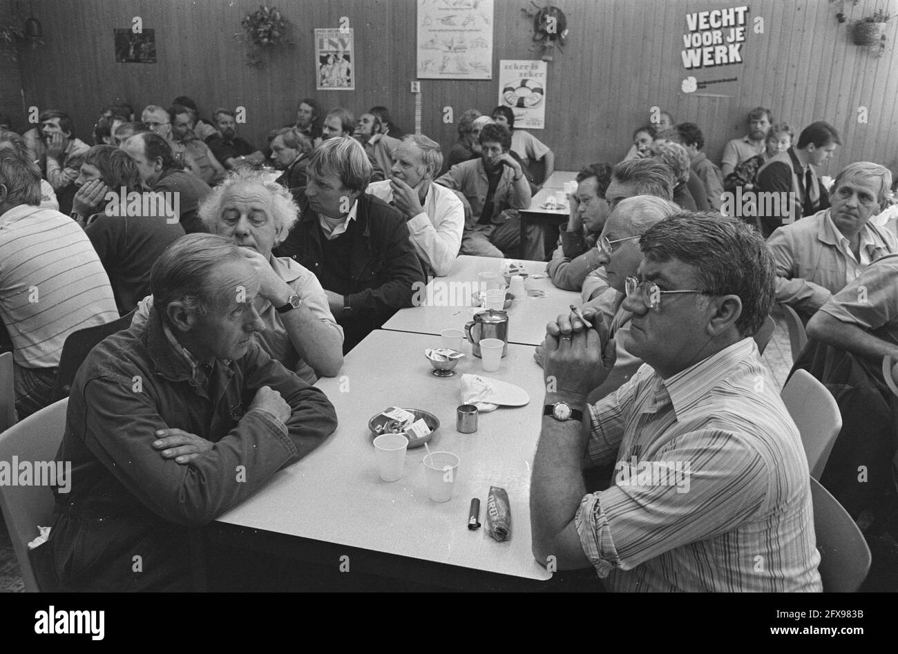 Avebe plant hi-res stock photography and images - Alamy