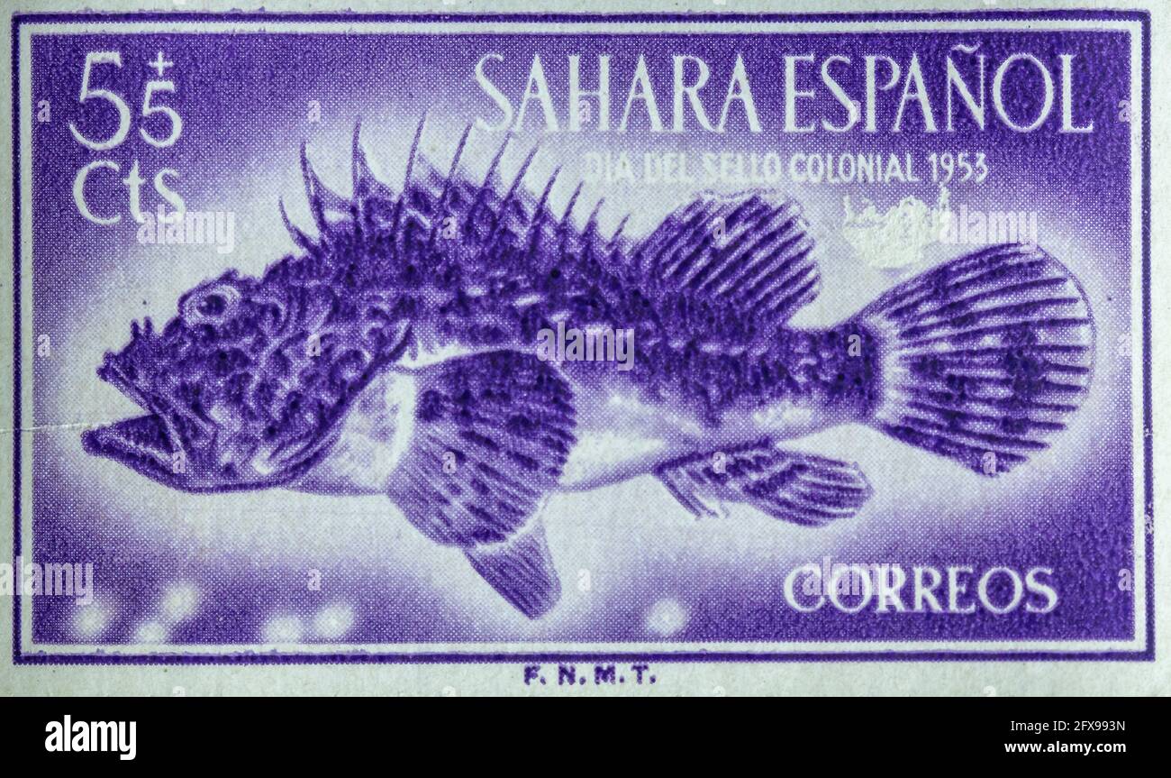 Closeup view of an old Spanish currency banknote with a fish on a ...