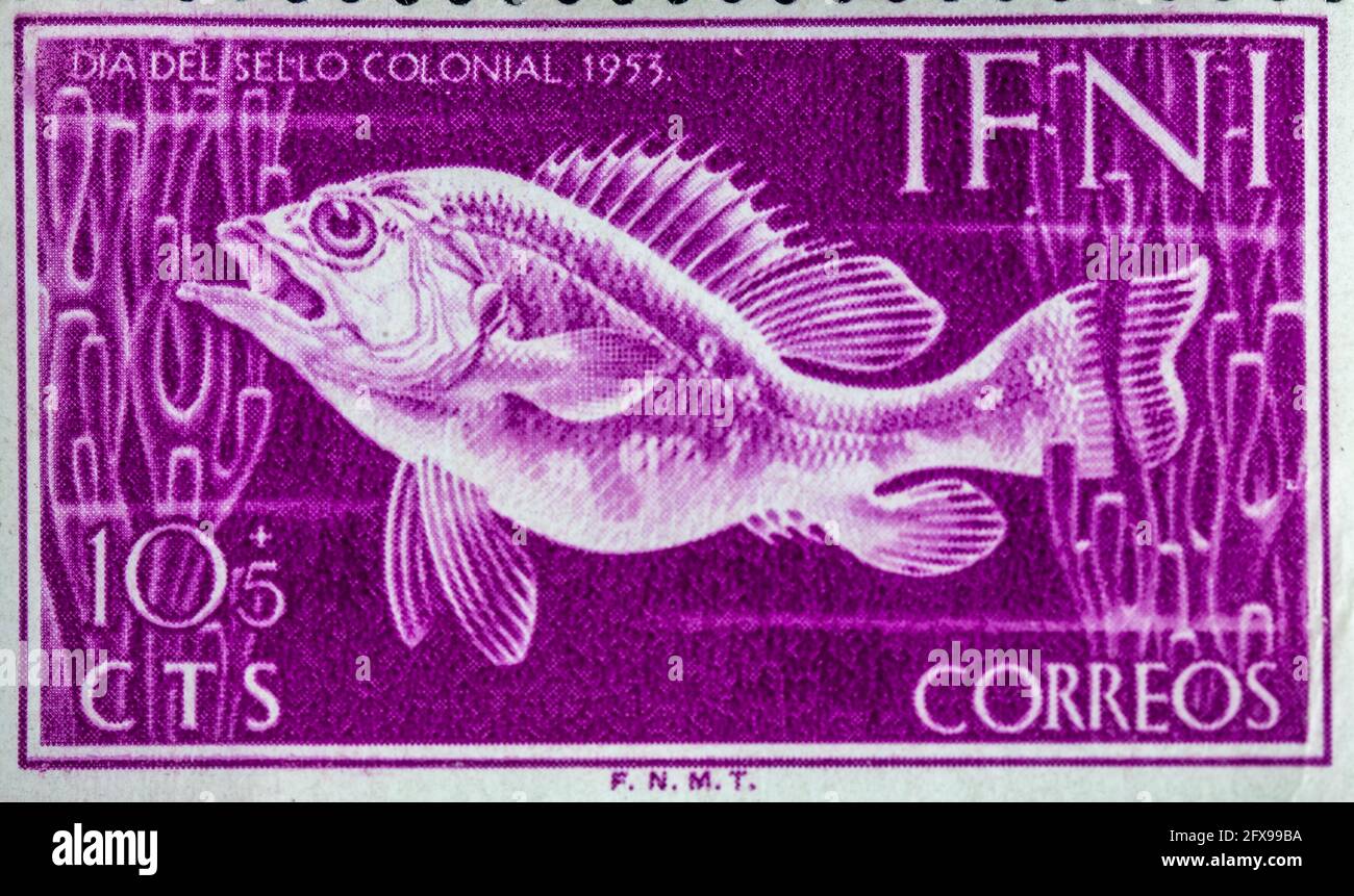Closeup view of an old Spanish currency banknote with a fish on a ...