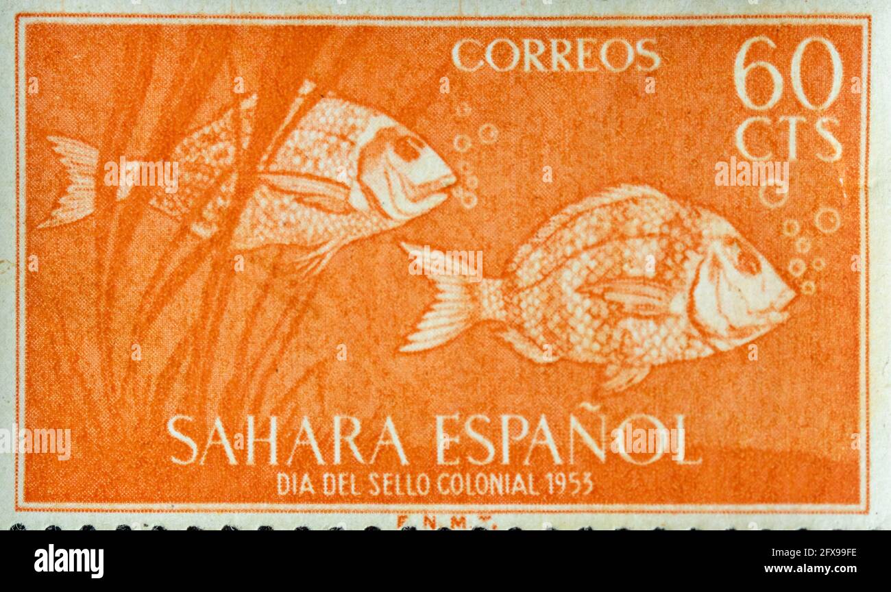 Closeup view of an old Spanish currency banknote with fish on an orange ...