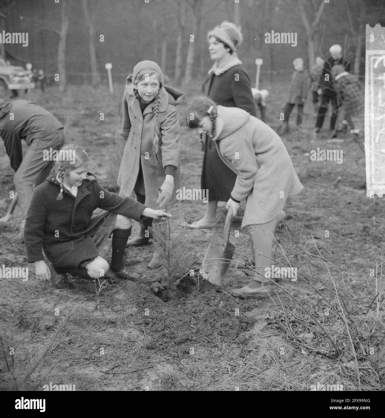 Tree planting day for 600 children near Bilthoven, April 4, 1962, tree ...