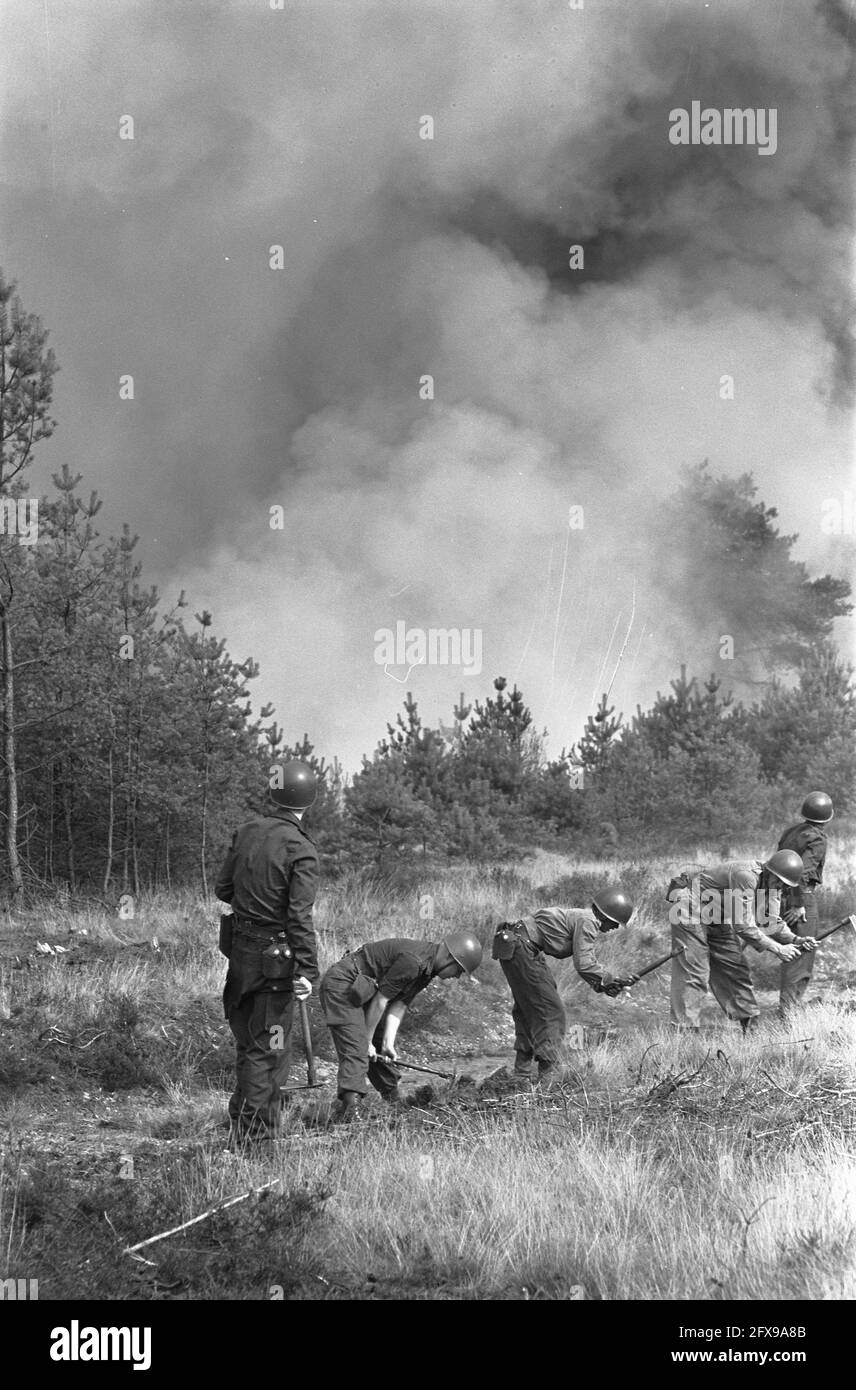 Forest fire north of Arnhem. Soldiers busy digging a ditch, July 23 ...
