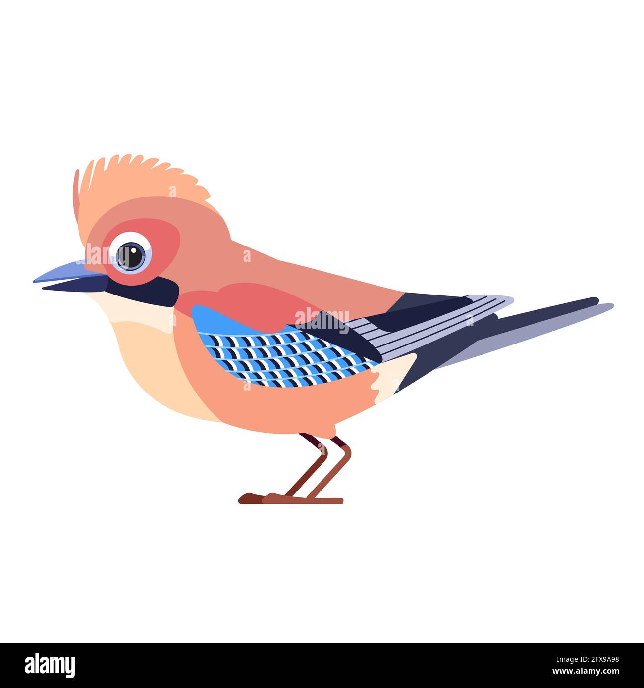 Eurasian Jay Garrulus glandarius . Birdd Cartoon flat style beautiful ...