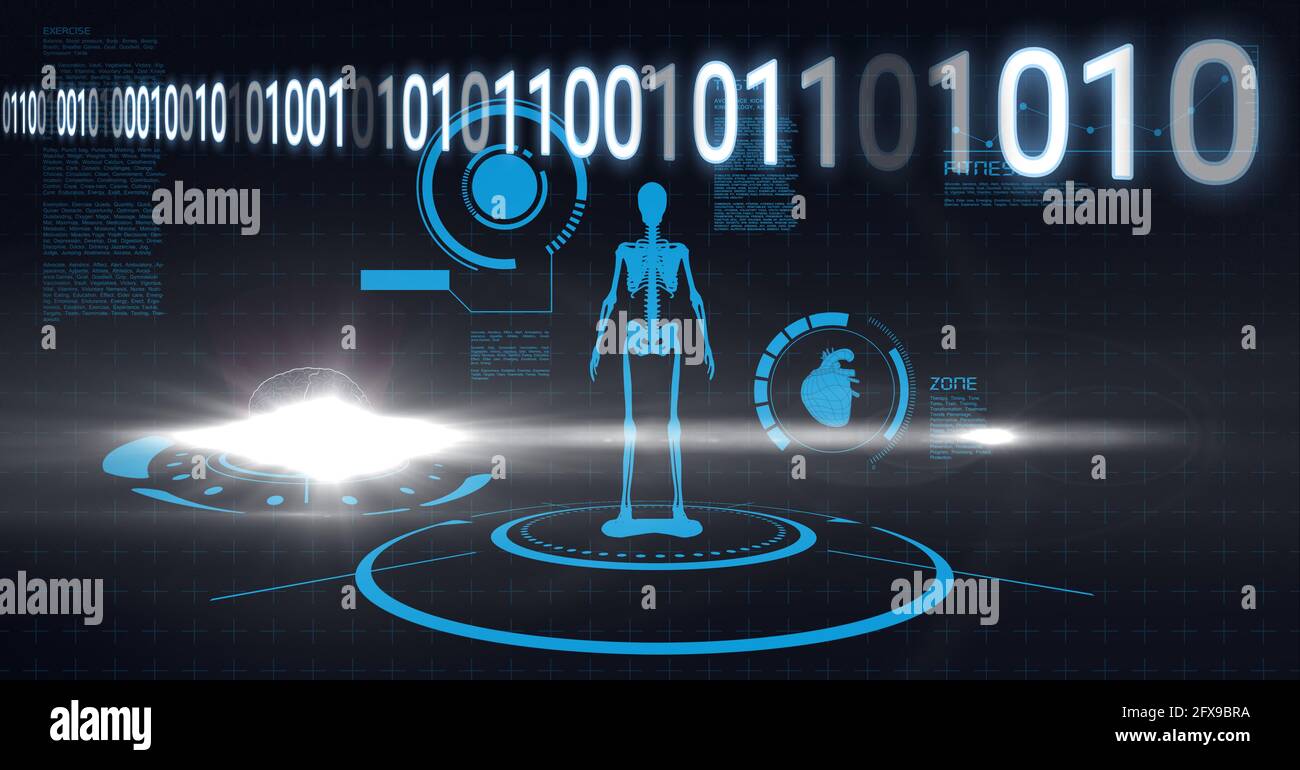 Composition of blue human skeleton with scientific digital icons and ...